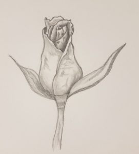 How to Draw a Rose Bud & Drawing Ideas - Art by Ro