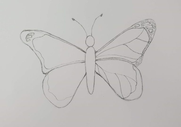 How to Draw a Butterfly | Easy & Fun Drawing Tutorial - Art by Ro