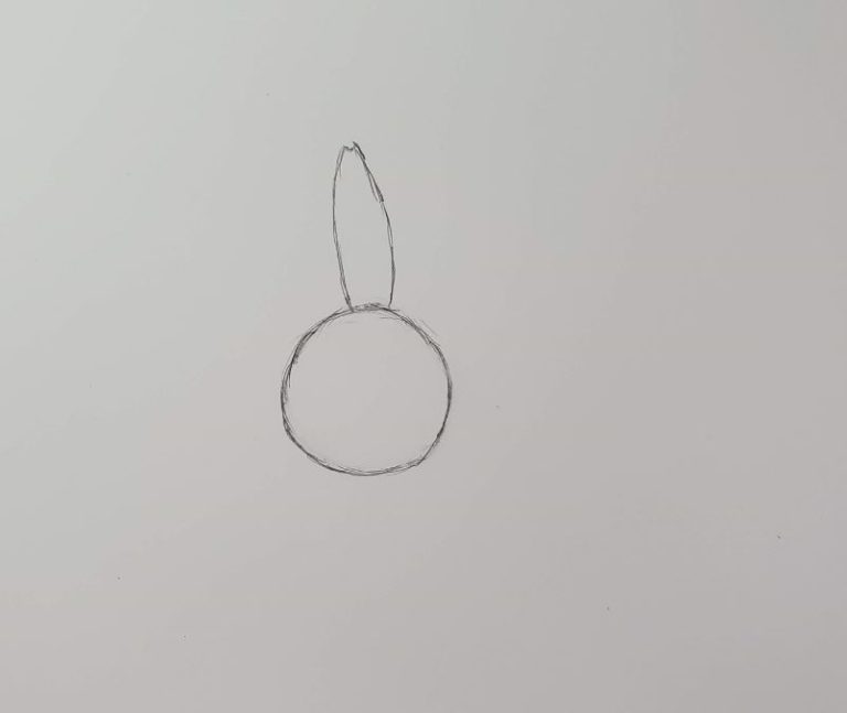 How to Draw a Daisy Easy Step by Step - Art by Ro