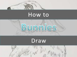 How to Draw a Bunny Step by Step - Art by Ro