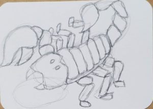 How to Draw a Scorpion Step by Step - Art by Ro