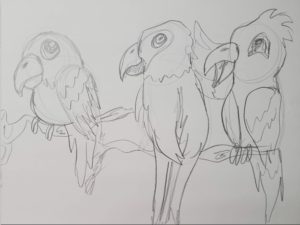 How to Draw a Parrot Step by Step - Art by Ro